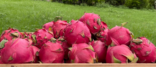 Kyssa Farms | Certified organic & natural produce to your doorstep