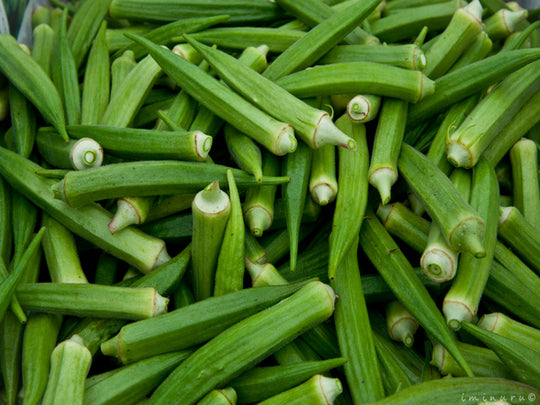 Lady Finger / Bhindi – Kyssa Farms