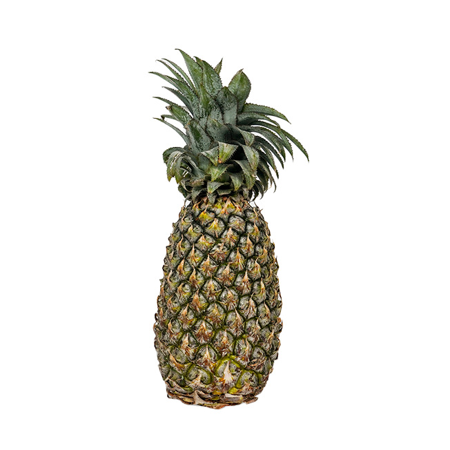 Ananas (Queen) – Kyssa Farms